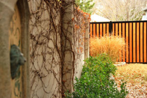 The Ultimate Collection of Privacy Fence Ideas (Create Any Design With ...