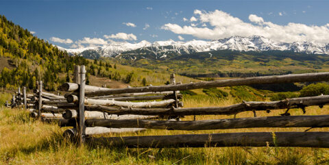 Split Rail Fence: A Rustic Modern Fencing Alternative